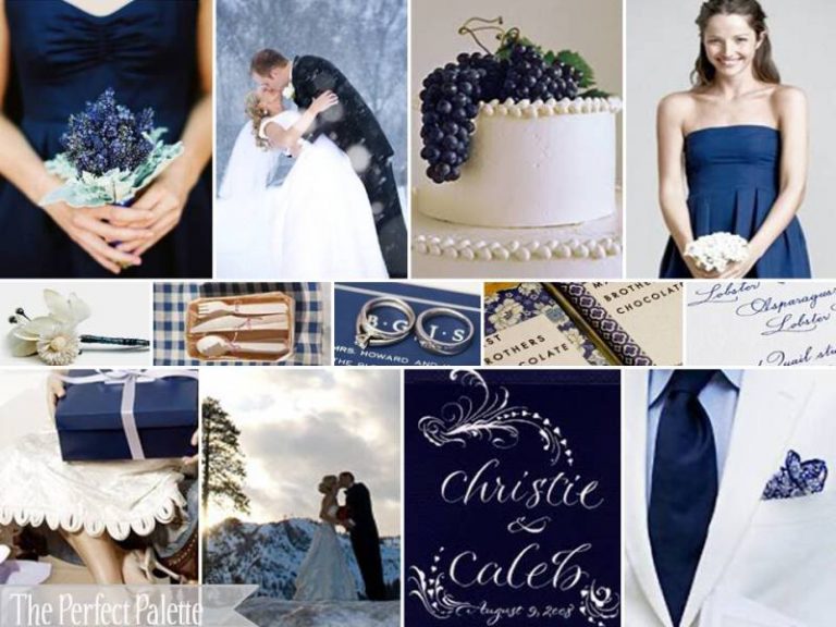 Blue and Silver Color Palette