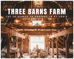 15 Best Places to Propose in St Louis