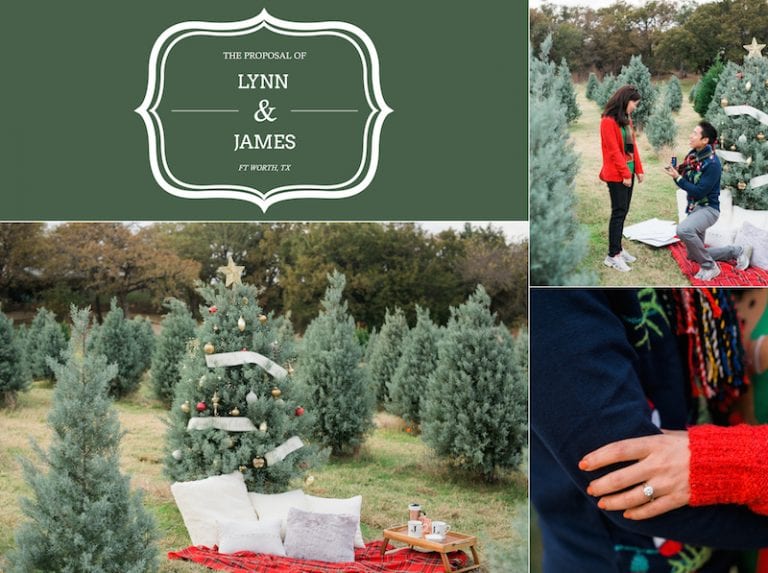 Christmas Tree Farm Proposal in DFW, TX