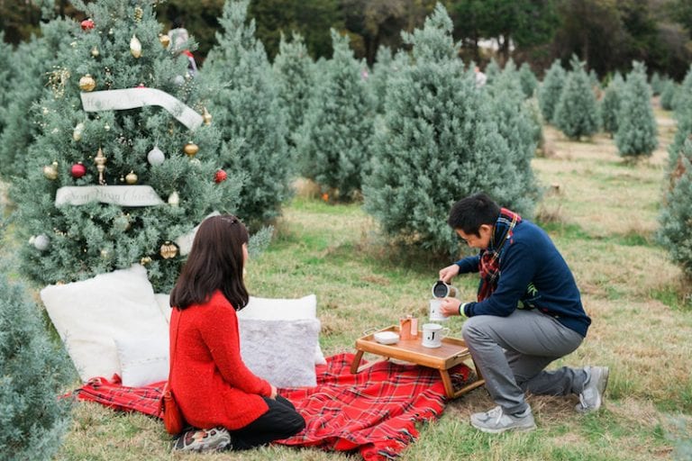 Christmas Tree Farm Proposal in DFW, TX