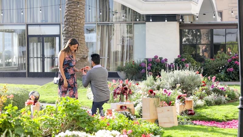 The Best Proposal Videos of 2017