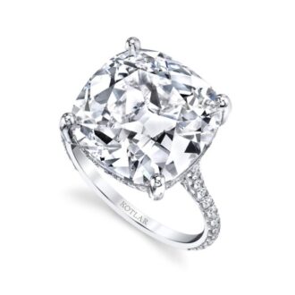 Friday "Rocks"! featuring Harry Kotlar - The Yes Girls