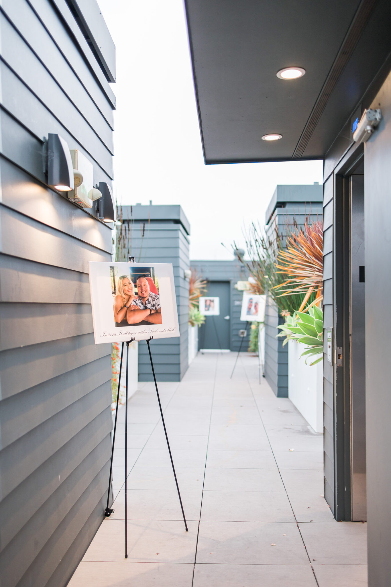 The Sweetest Rooftop Proposal in San Francisco - The Yes Girls