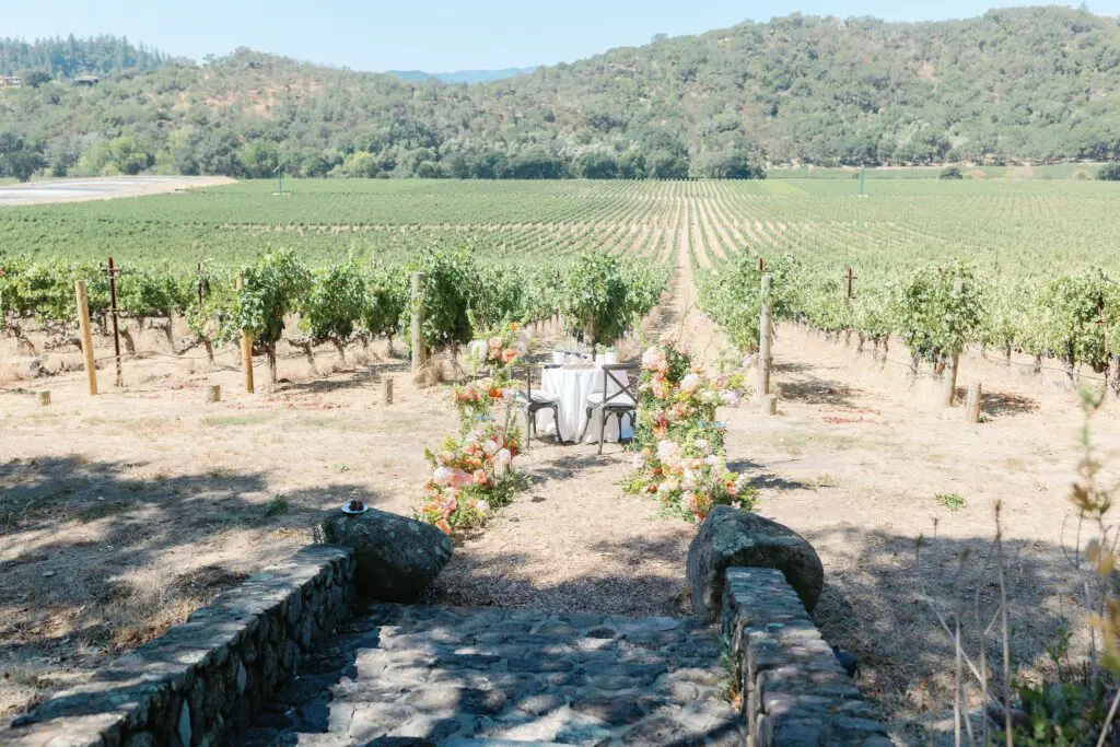 Private Beach Marriage Proposal in Half Moon Bay - The Yes Girls
