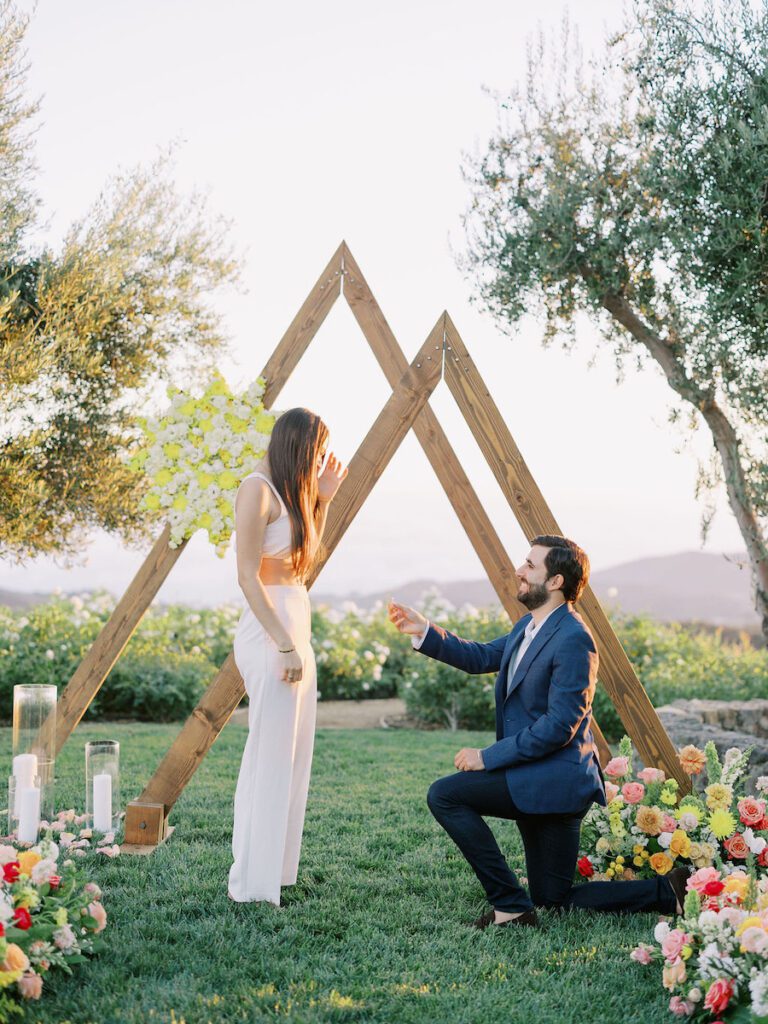 Marriage Proposal Ideas Blog By The Yes Girls Luxury Proposal Planners