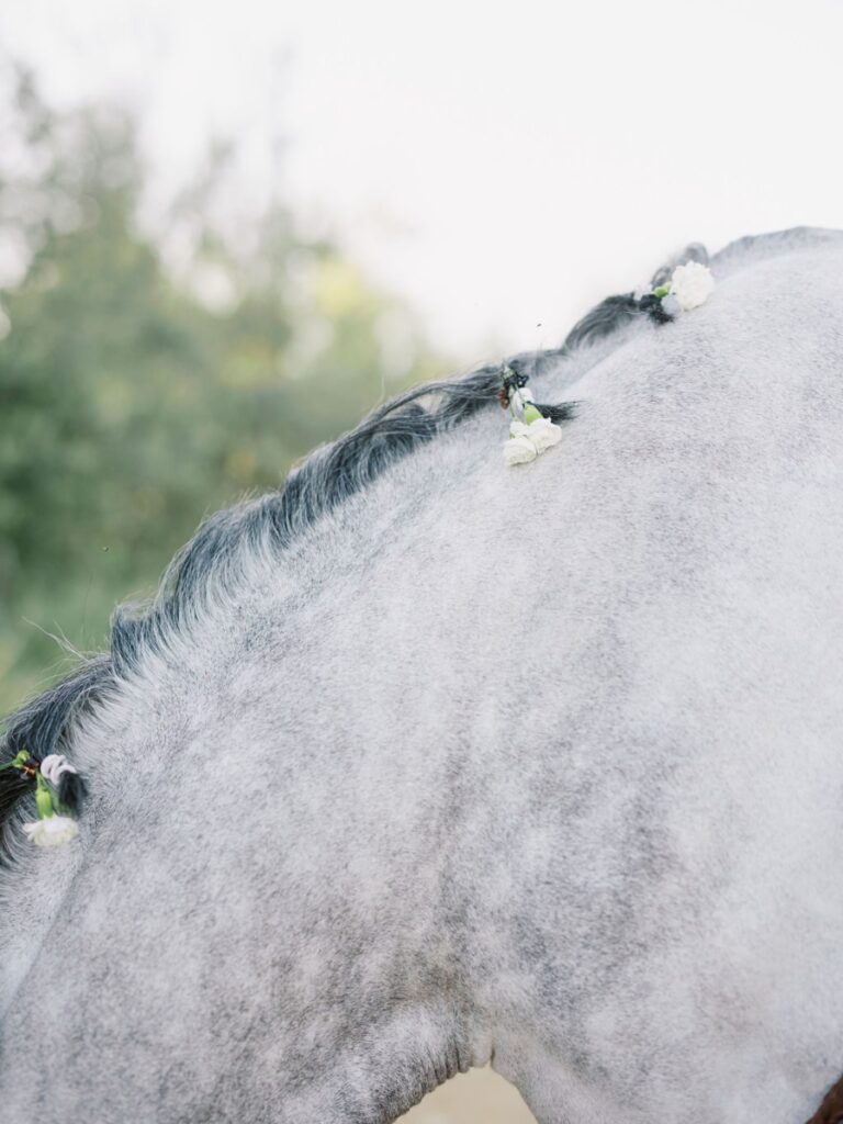 Horse Inspired Proposal at Stunning Malibu Private Estate