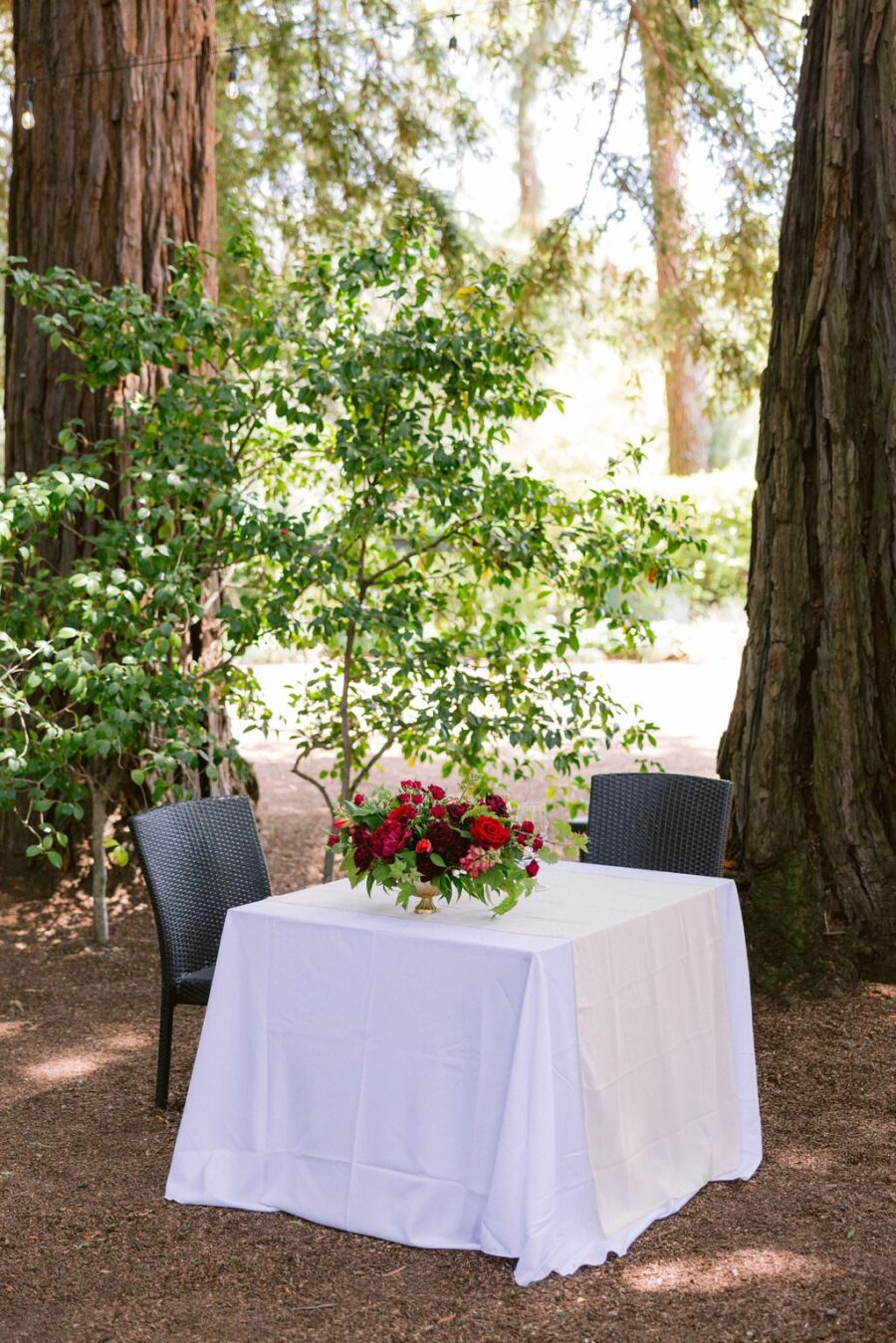 Romantic Proposal Among the California Redwood Trees