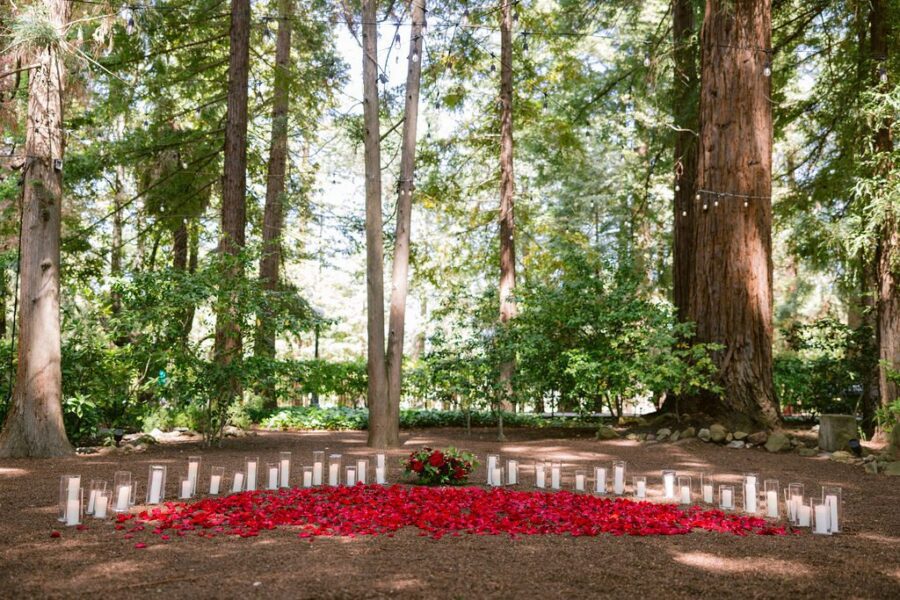 Romantic Proposal Among the California Redwood Trees