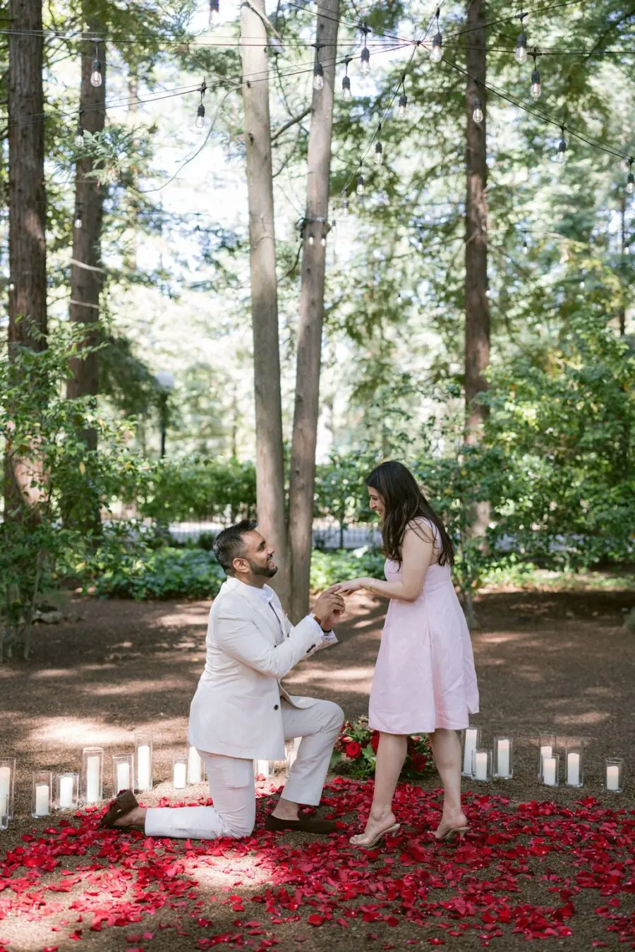 Romantic Proposal Among the California Redwood Trees