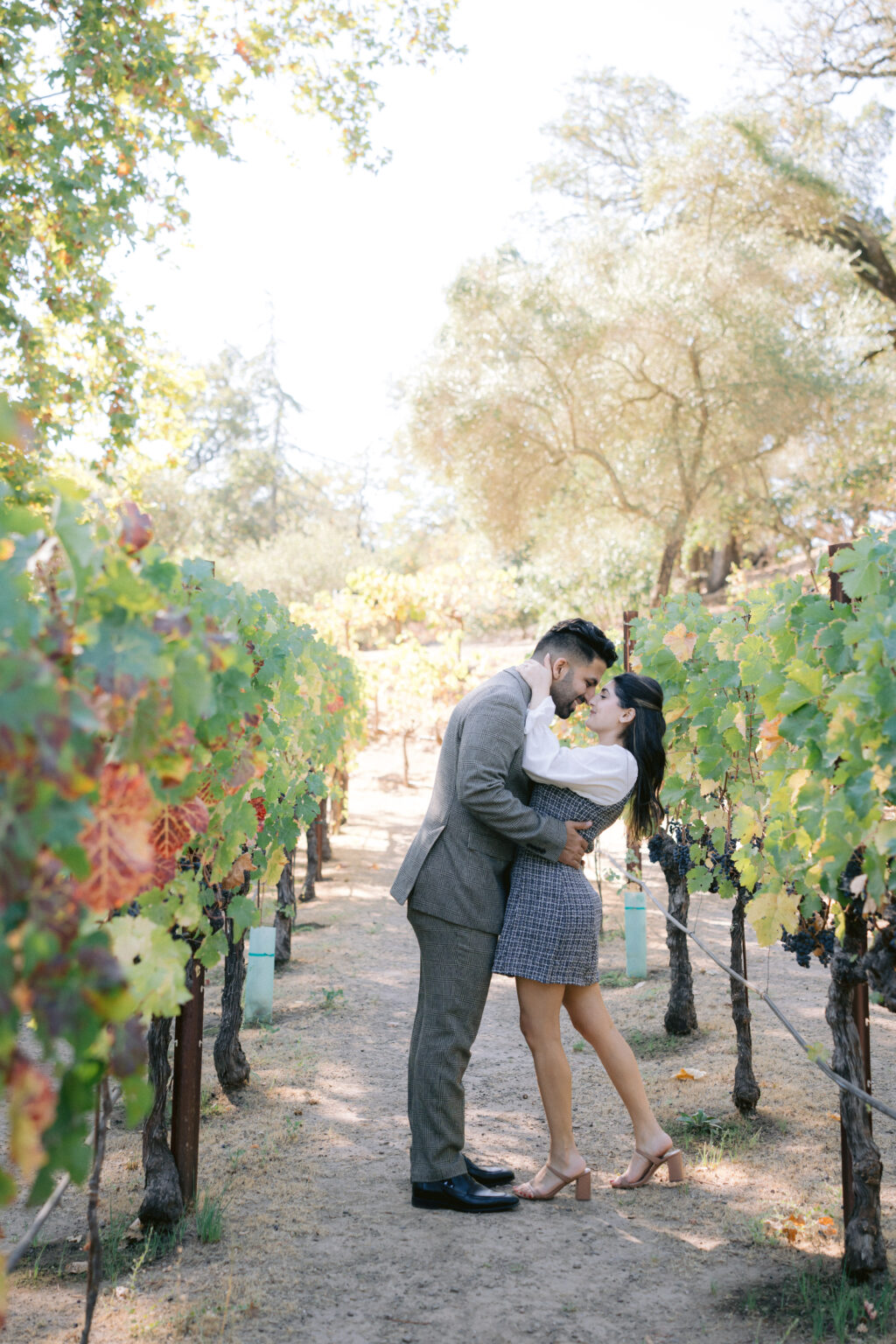 A Woodsy Winery Napa Valley Proposal